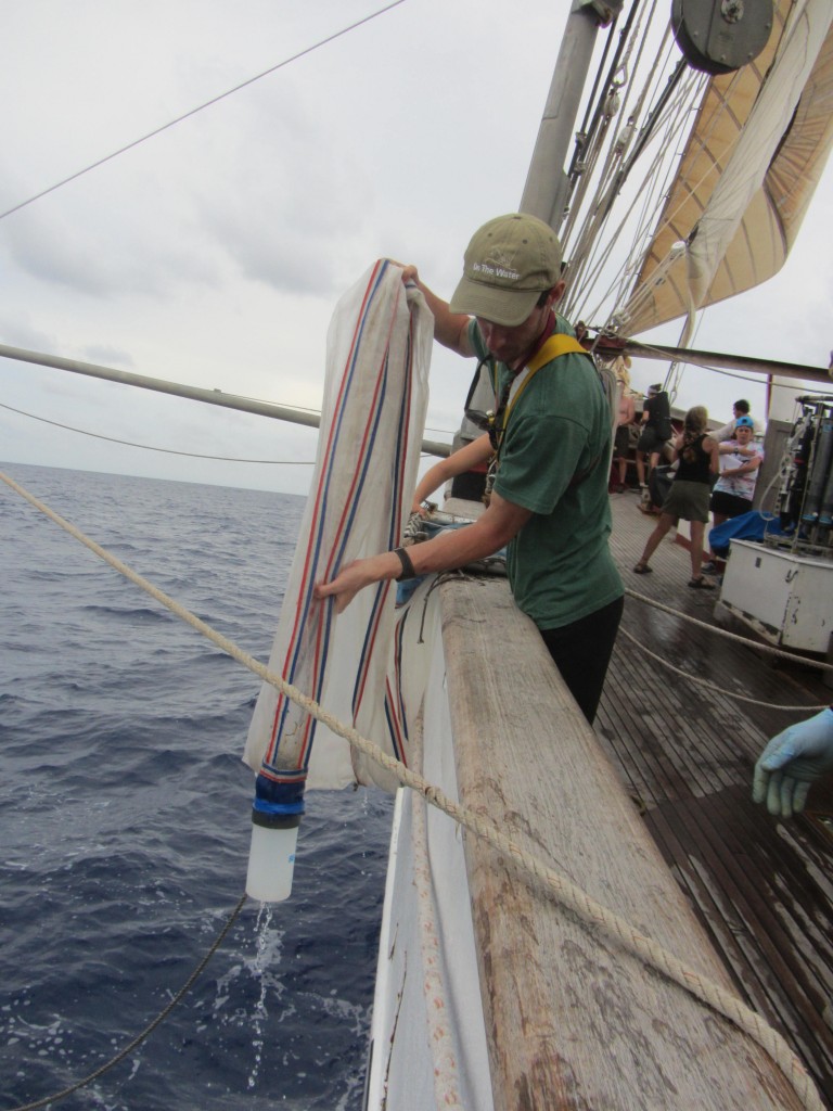 Uncovering the secret world of the Plastisphere