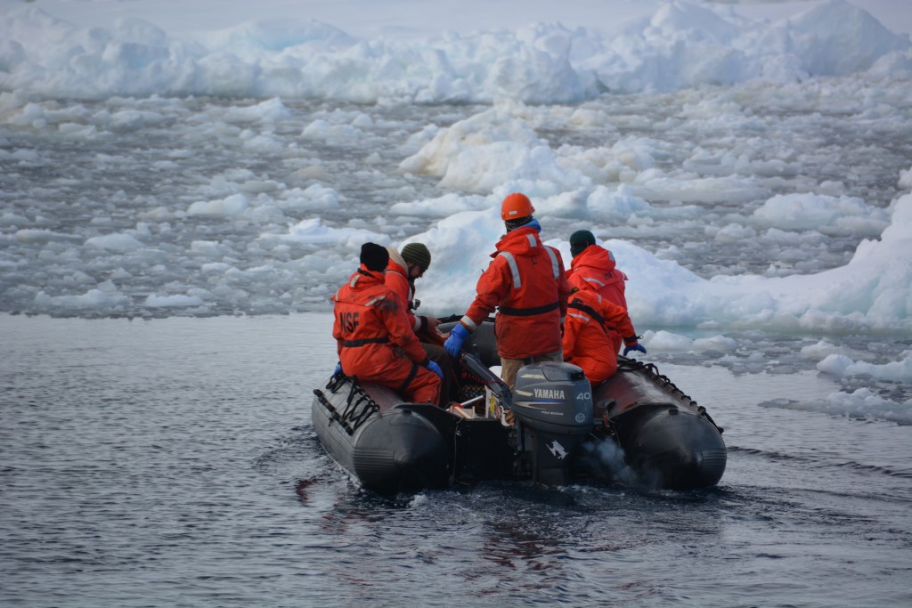Melting glaciers feed Antarctic food chain - AGU Newsroom