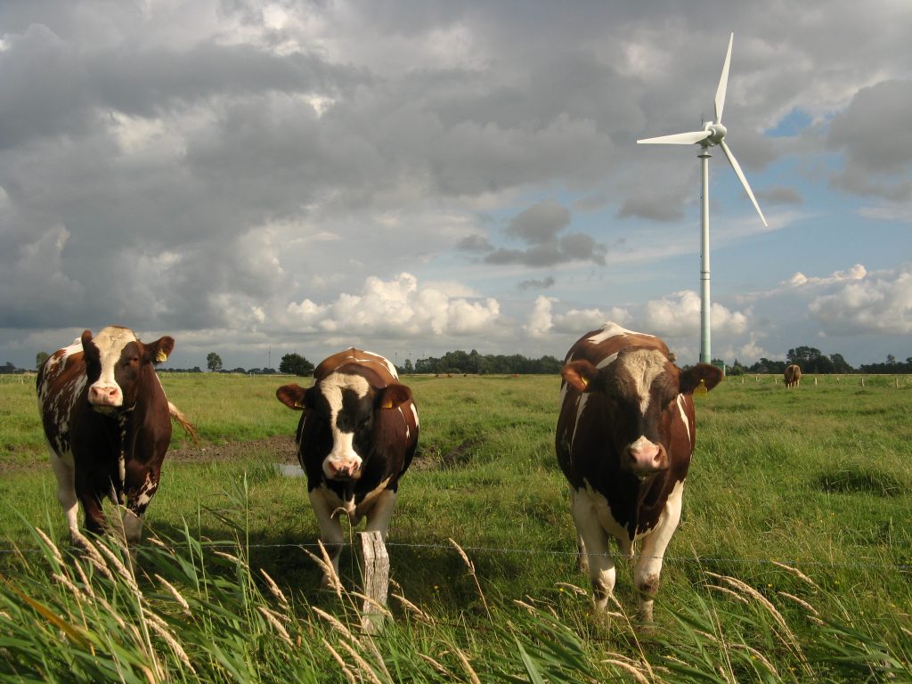 Farms a major source of air pollution, study finds