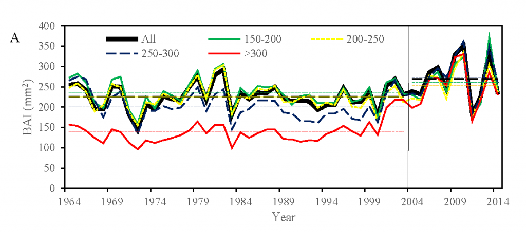 Climate change is giving old trees a growth spurt - AGU Newsroom