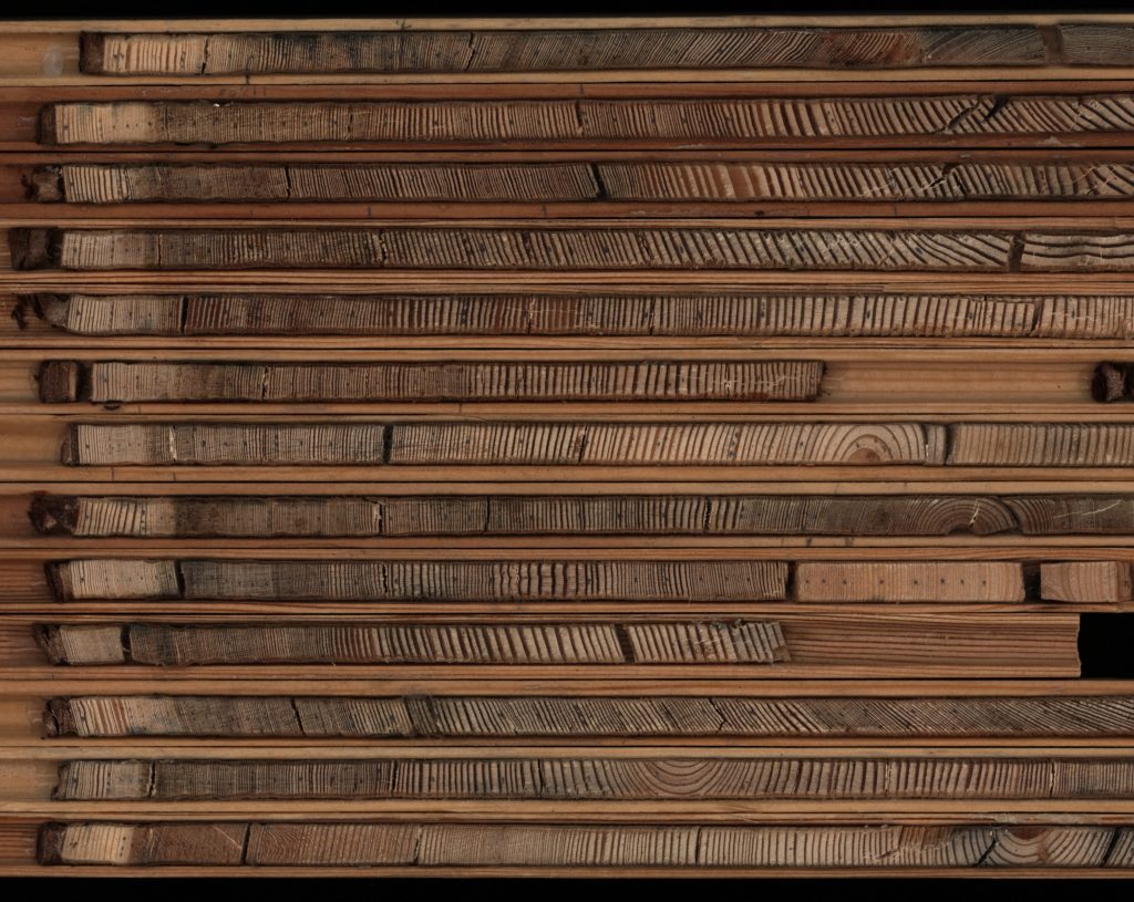 Climate change is giving old trees a growth spurt - AGU Newsroom