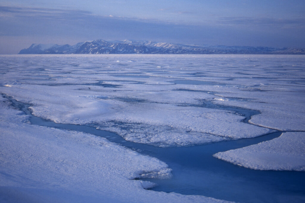 North America’s first people may have arrived by sea ice highway - AGU ...