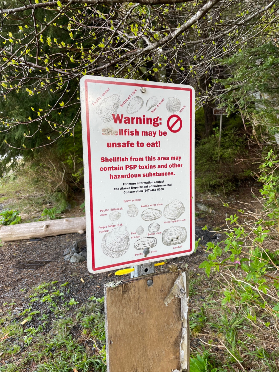 Alaska Native tribes take lead on shellfish toxin testing where state ...