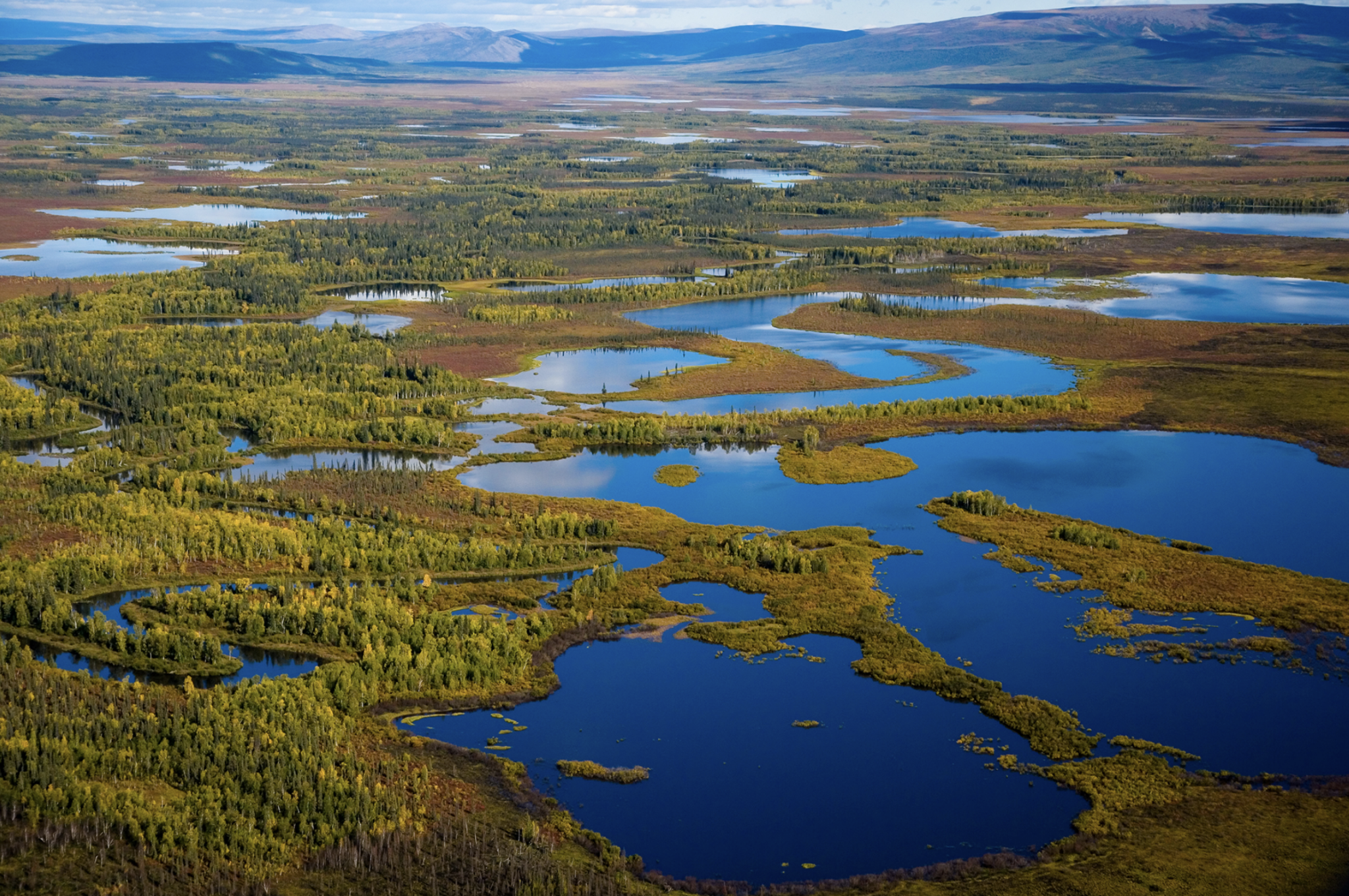 Bering Bog Bridge? New research rewrites key crossing’s landscape - AGU ...