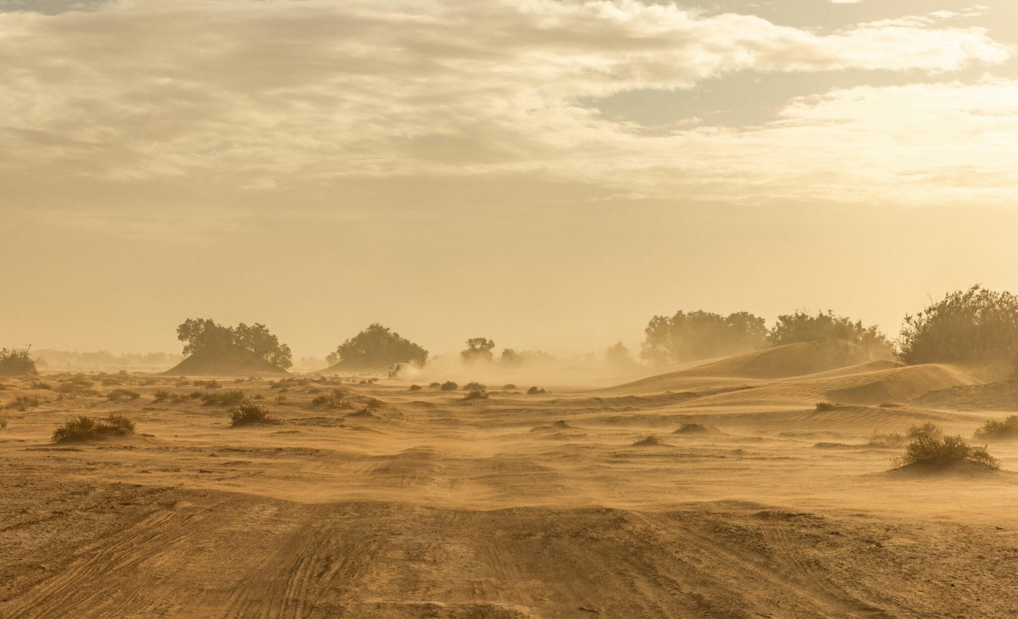 2/12/26: Climate patterns put a damper on African dust storms - AGU ...